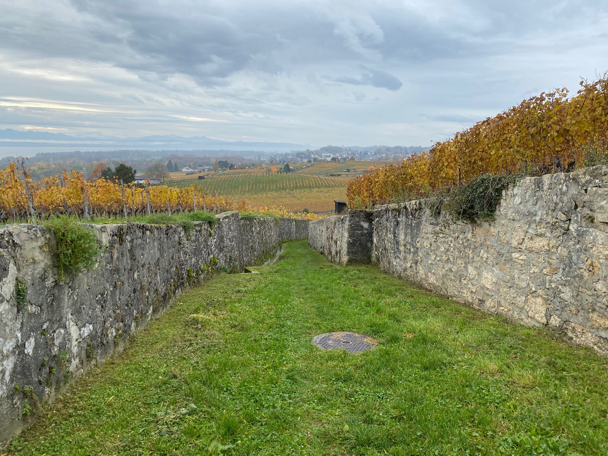 From Neuchâtel via Auvernier to Colombier | MICE Service Group ...